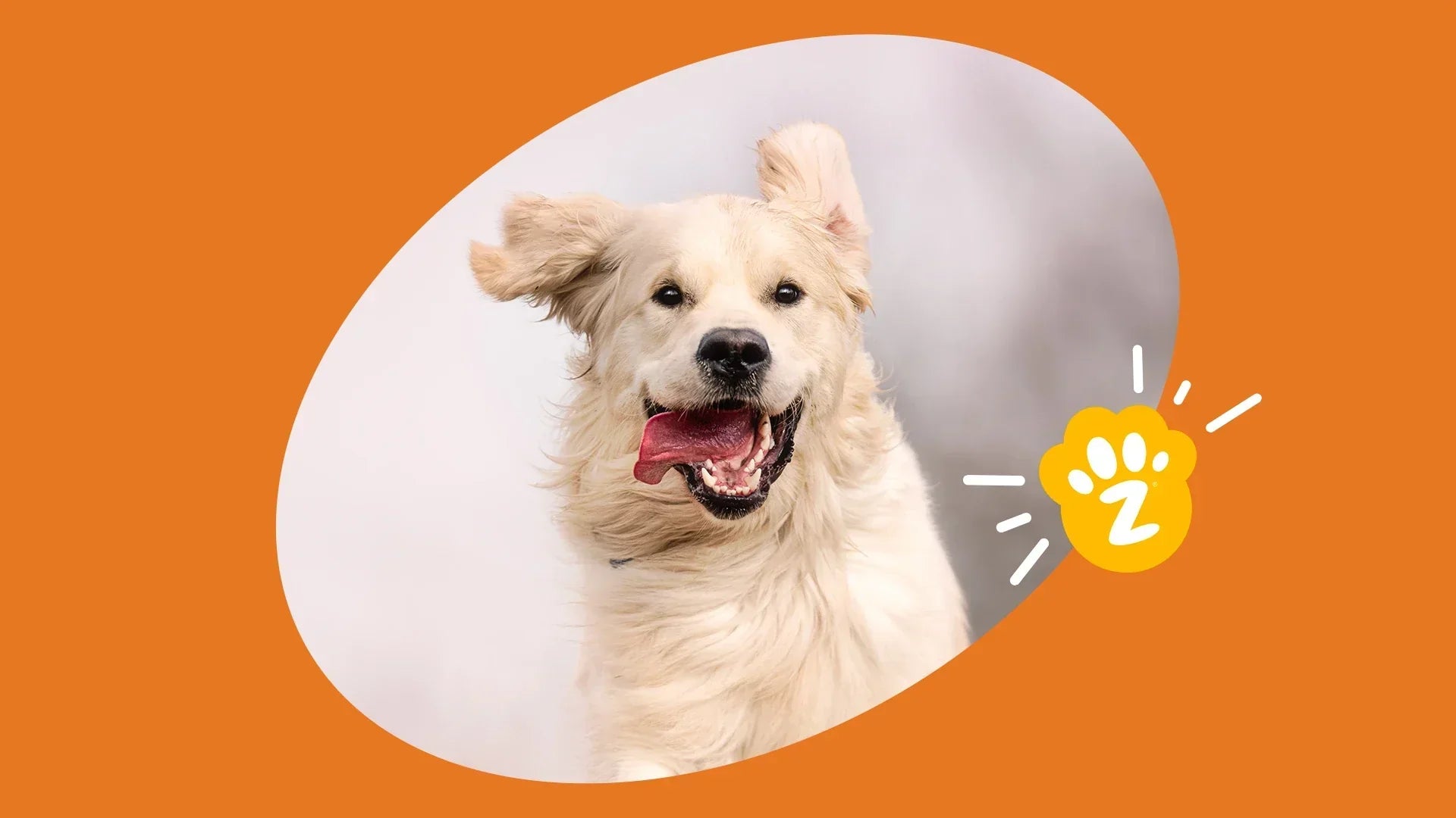 Zesty Paws Australia Product Range