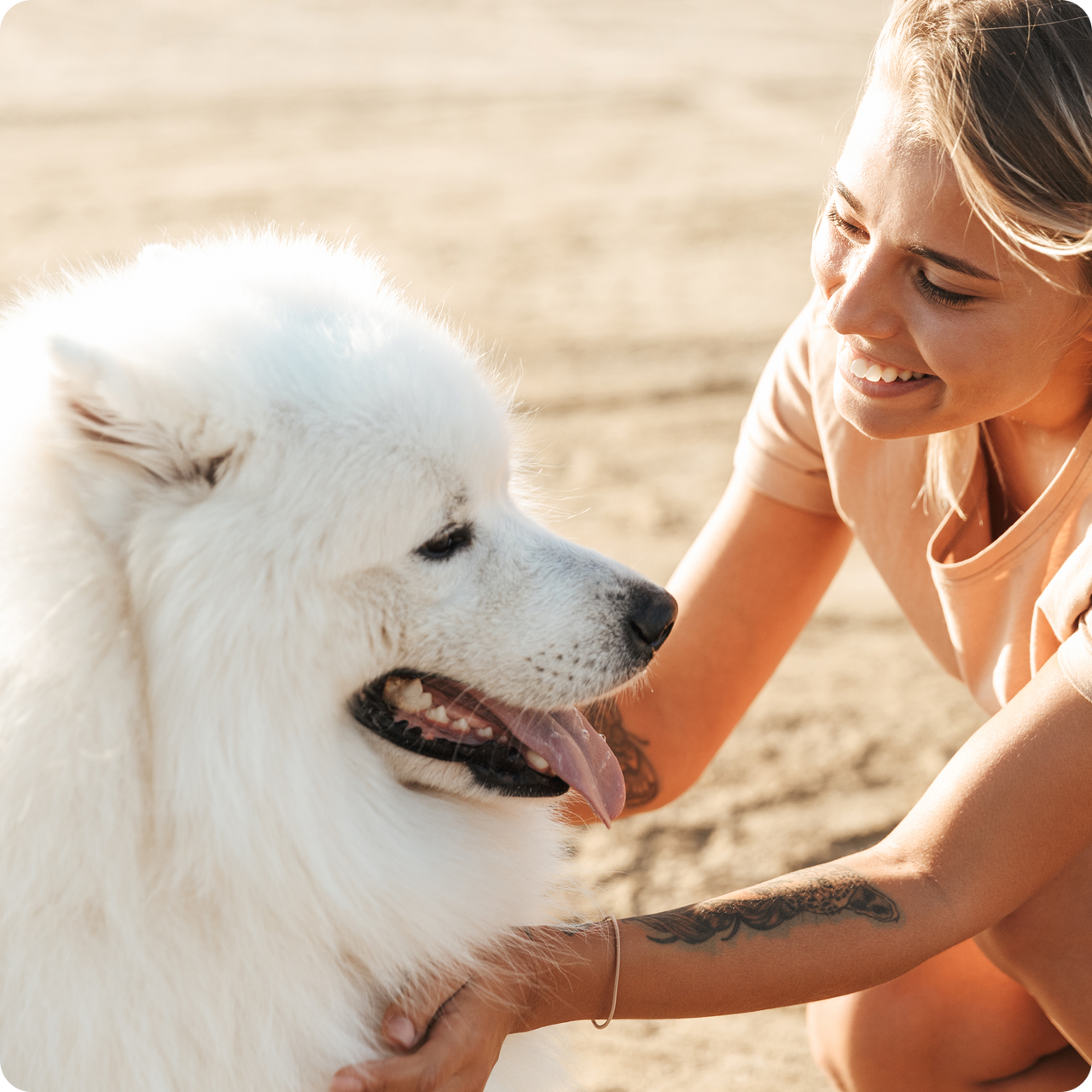 Zesty Paws Australia | Science-backed supplements for dogs and cats ...